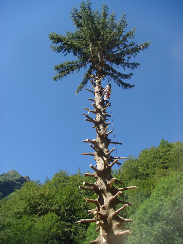 Cabane de Bonheur | An eco friendly barn conversion in the Ariege ...